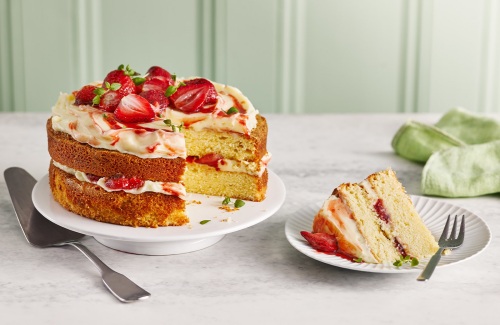 Look Into Cake Gel and its Benefits