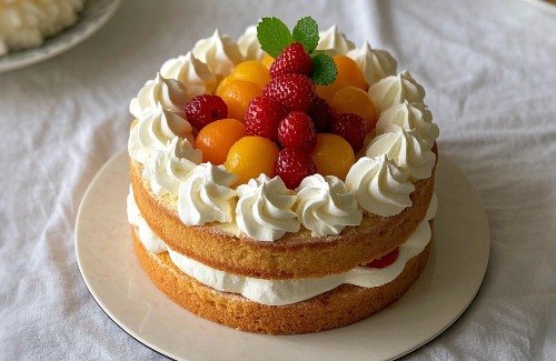 Cake Premix vs. Cake Concentrate vs. Cake Gel