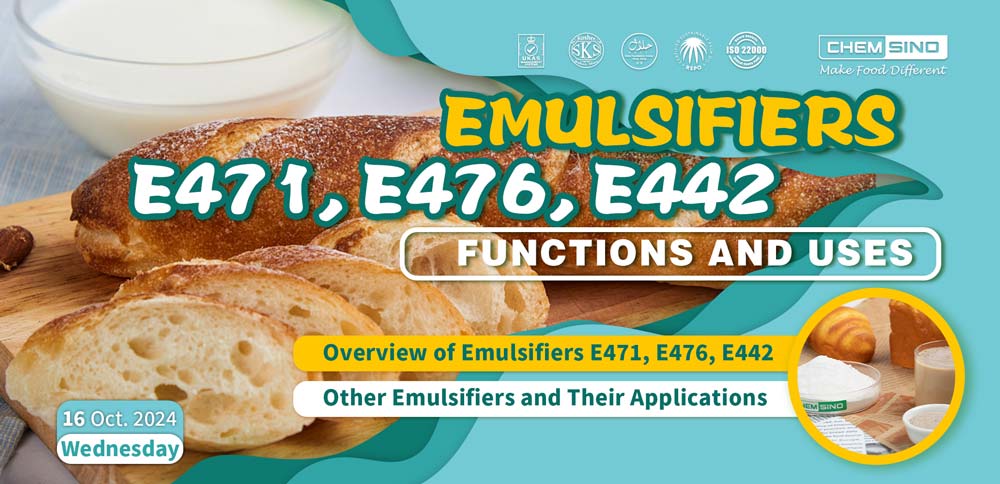 A Complete Guide to CITREM E472c Emulsifier