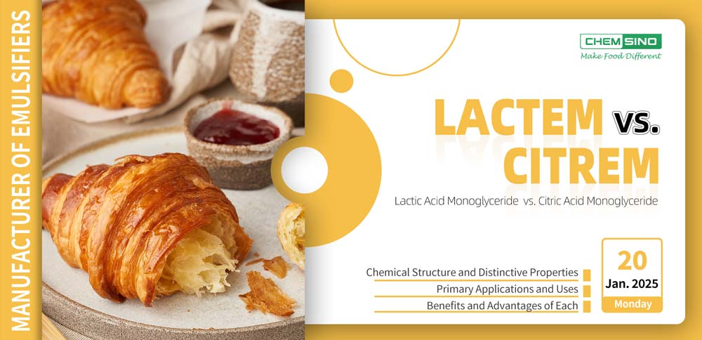 What Are Distilled Monoglycerides and How Do They Work