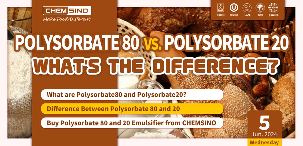 A Complete Guide to Food Grade Polysorbate 80 | Blog