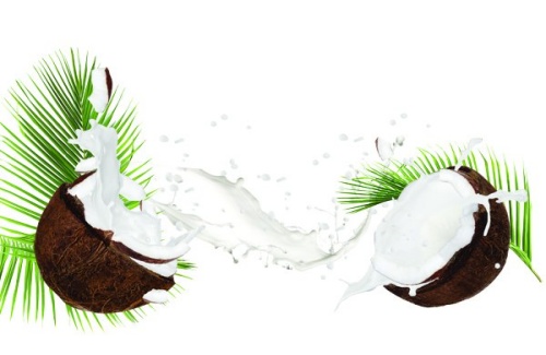 What Emulsifier is Used in Coconut Milk